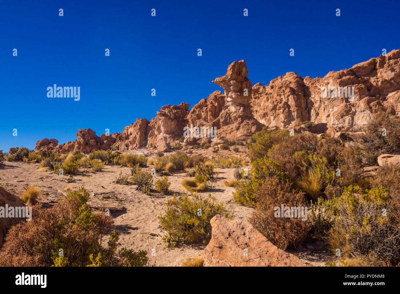 Rock formation in the eduardo avaroa andean fauna national reserve hi ...