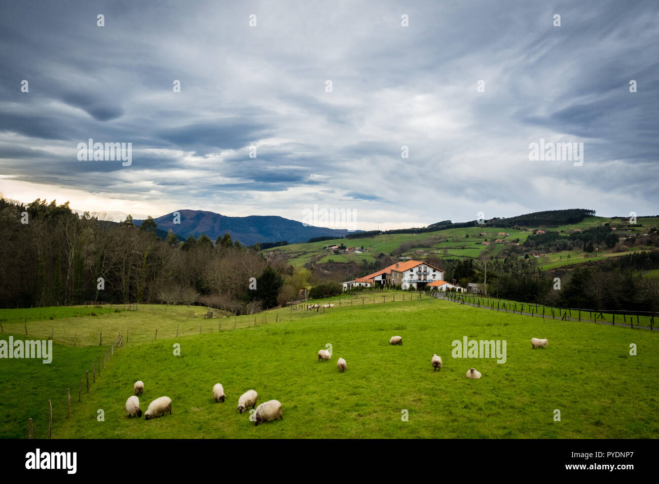 Sheep flock and a mountain house in the Basque Country, landscapes in ...