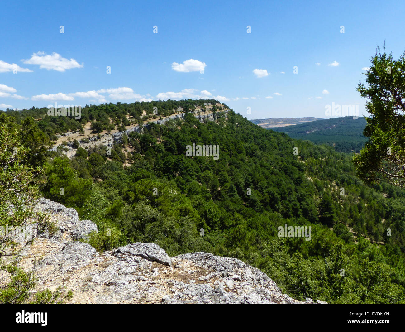 View from the top of the Lobos river canyon. Soria in Spain Stock Photo ...