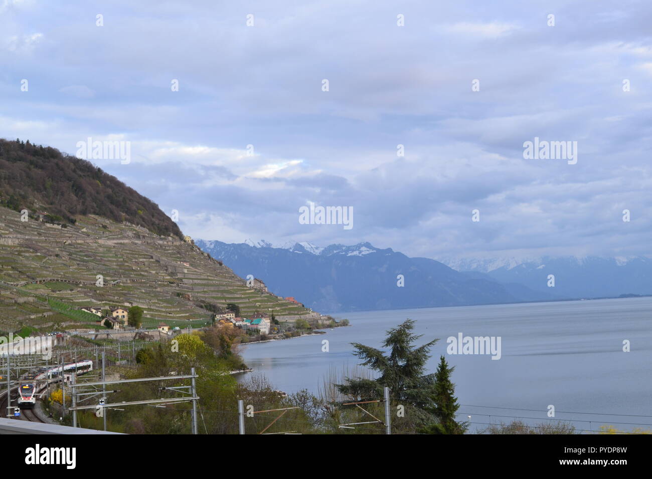 Lake Geneva (Lac Leman) pictured from Cully, Vaud, Switzerland. Note ...