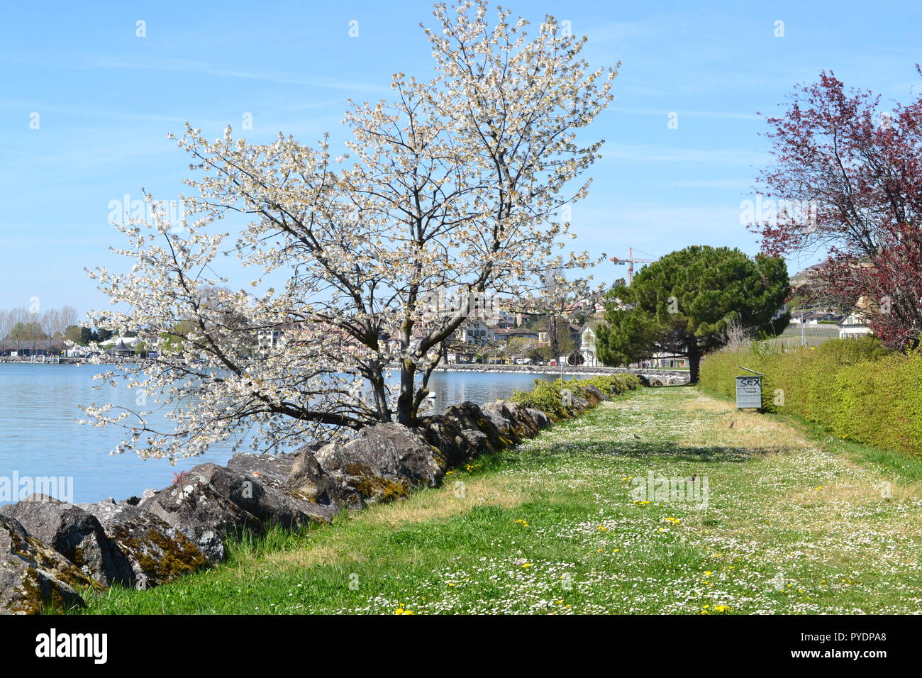 Village cully lake geneva switzerland hi-res stock photography and ...