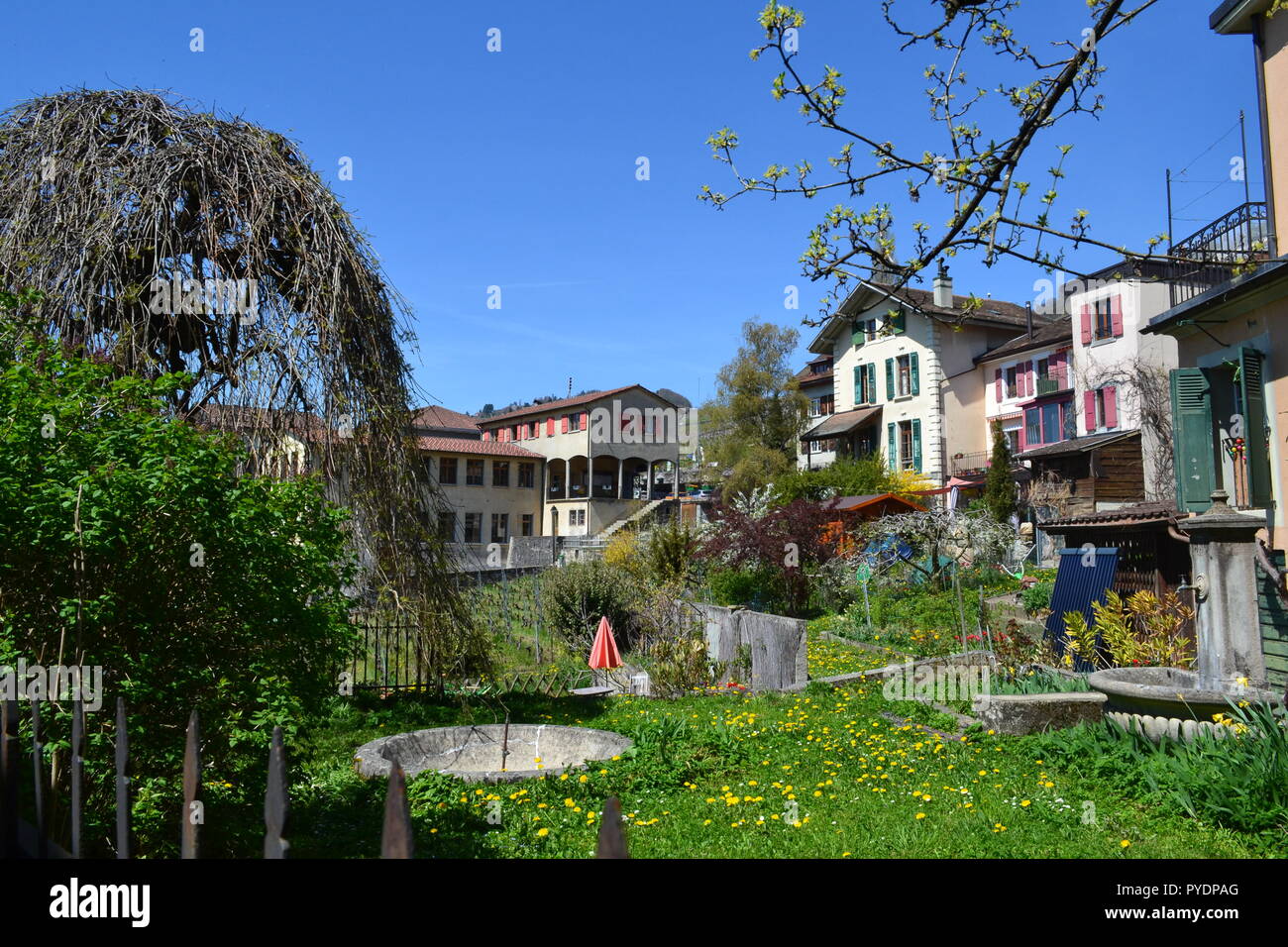 Houses in Epesses, Vaud, Switzerland. A traditional wine-making village ...