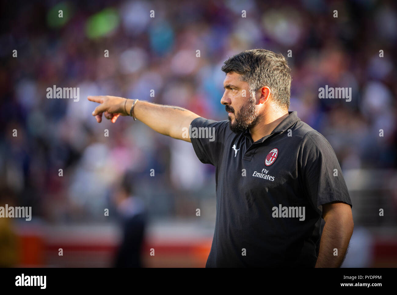Gattuso hi-res stock photography and images - Alamy