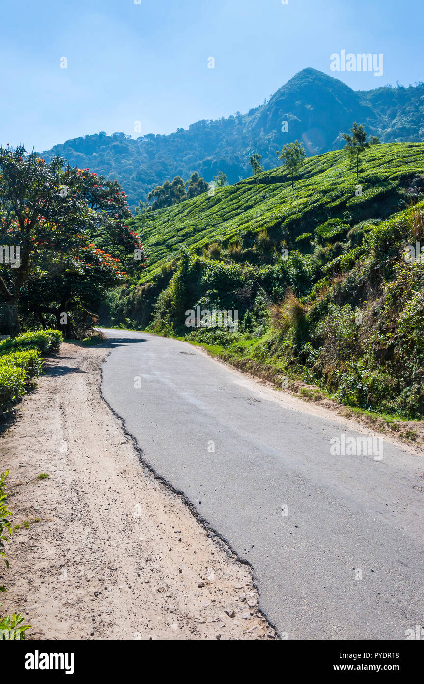 Munnar is an attractive destination with the world's best and renowned ...