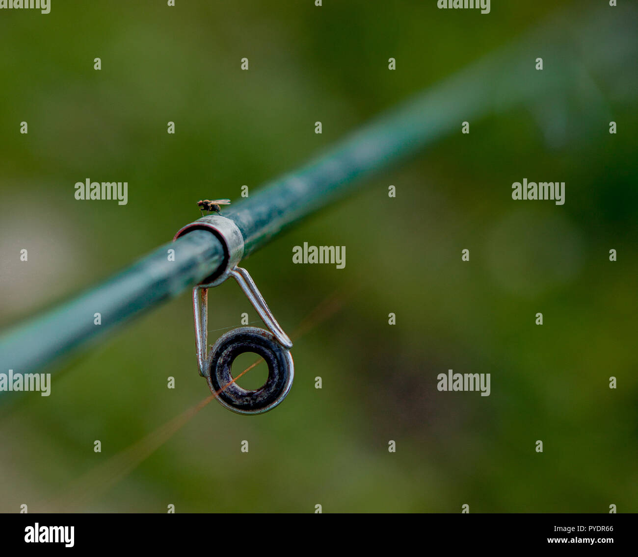 Fishing rod rings close up with blurred background Stock Photo - Alamy
