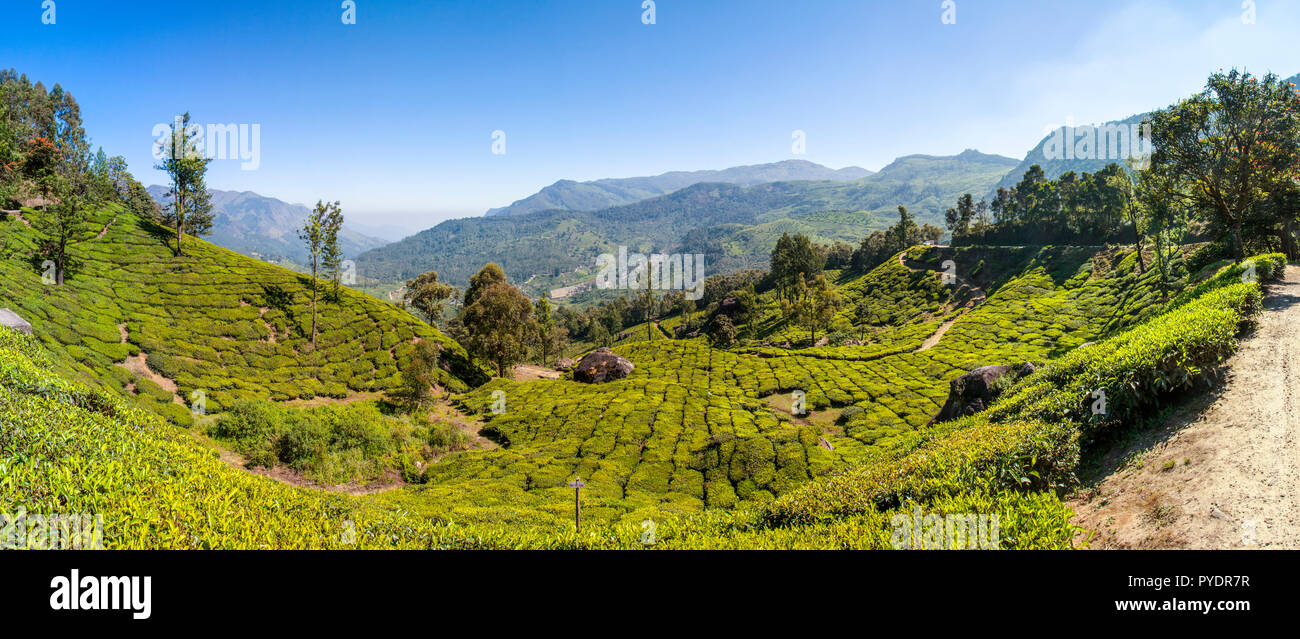 Munnar is an attractive destination with the world's best and renowned ...