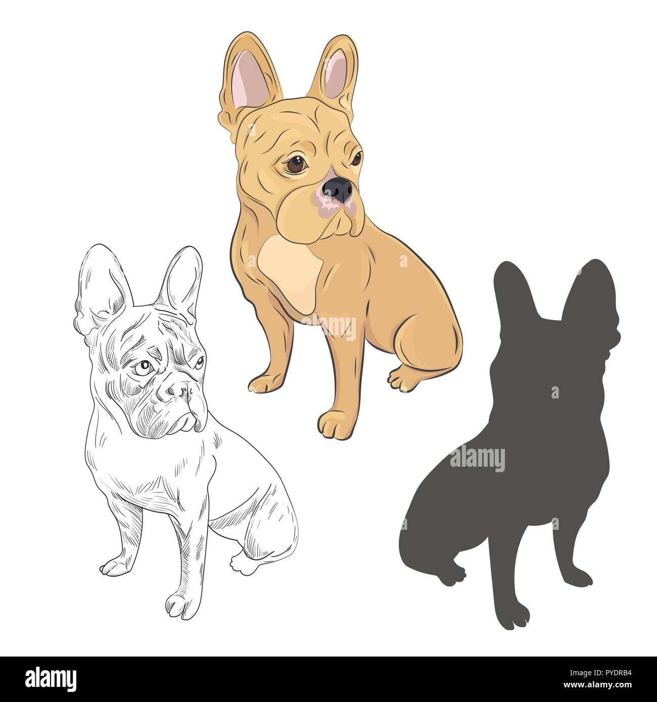 French Bulldog in three different styles as hand drawn sketch ...