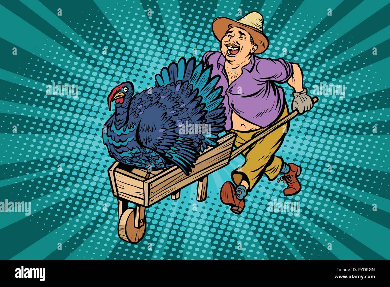 turkey bird, thanksgiving day holiday. farmer, man with a wooden ...