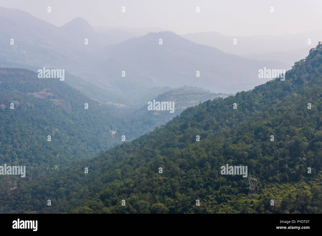 This shot was made in Munnar mountains surroundings in Kerala state ...