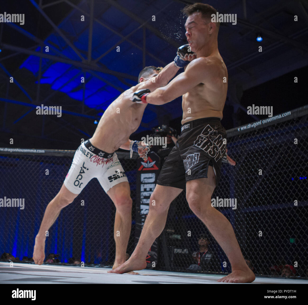 Fighter getting knocked out Stock Photo - Alamy