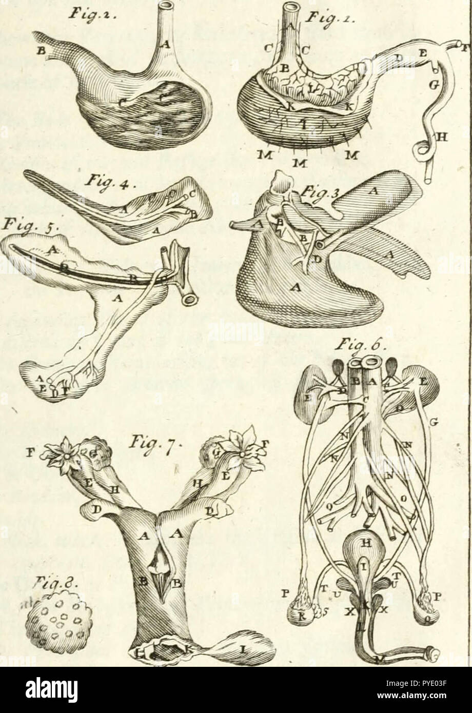 The farrier's new guide. Containing, first, The anatomy of a horse ...