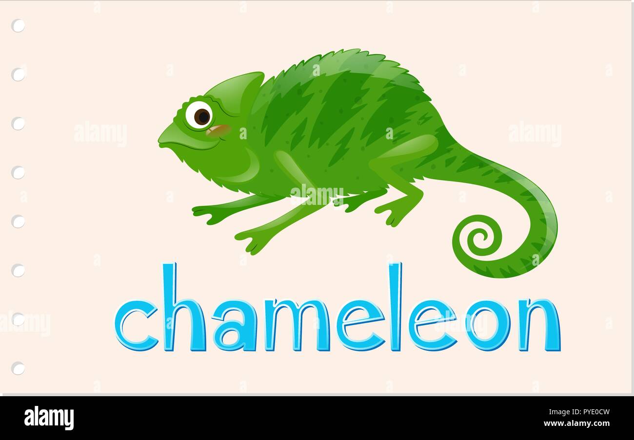 Wordcard with wild chameleon illustration Stock Vector Image & Art - Alamy
