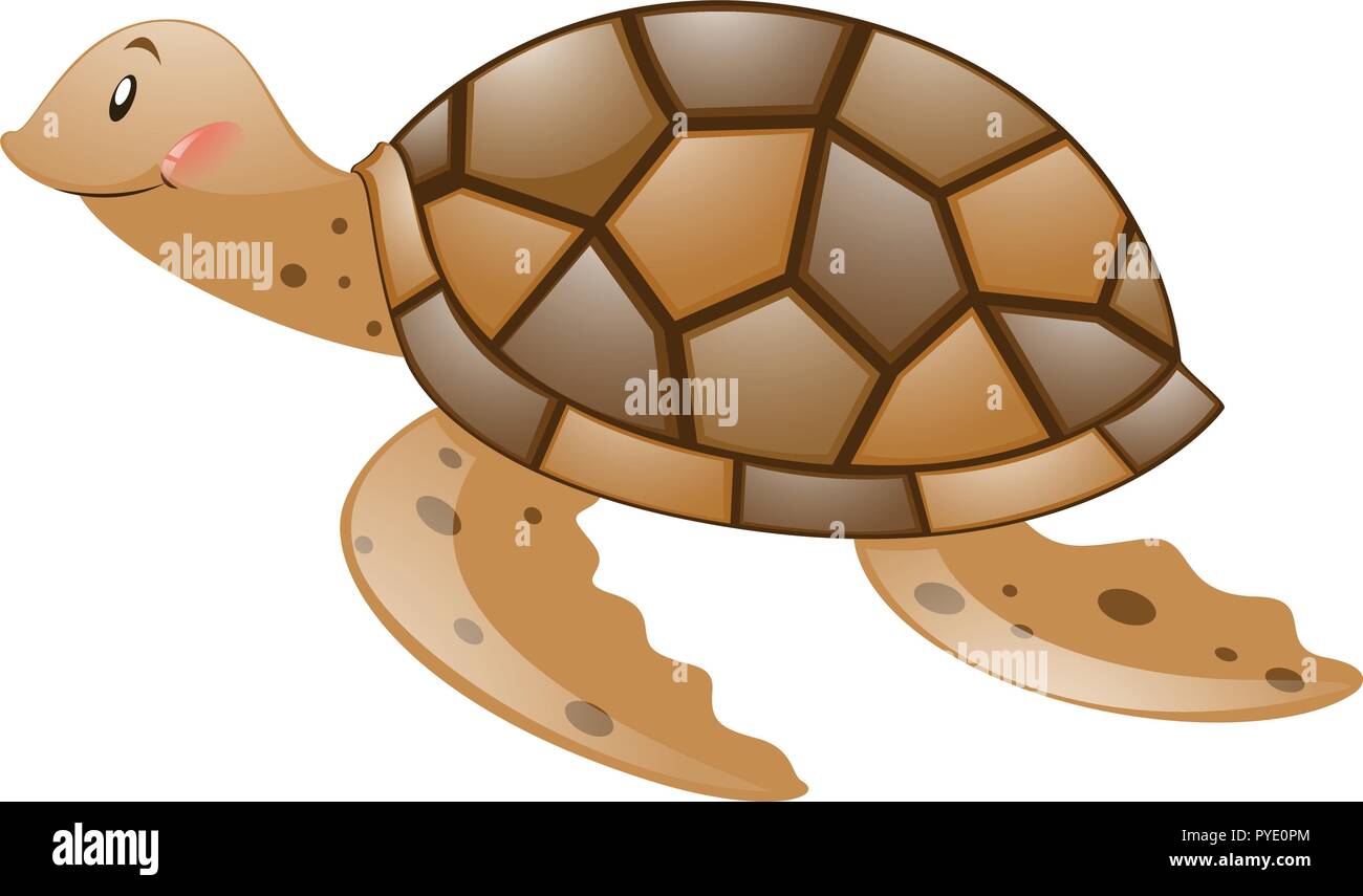 Brown turtle on white background illustration Stock Vector Image & Art ...
