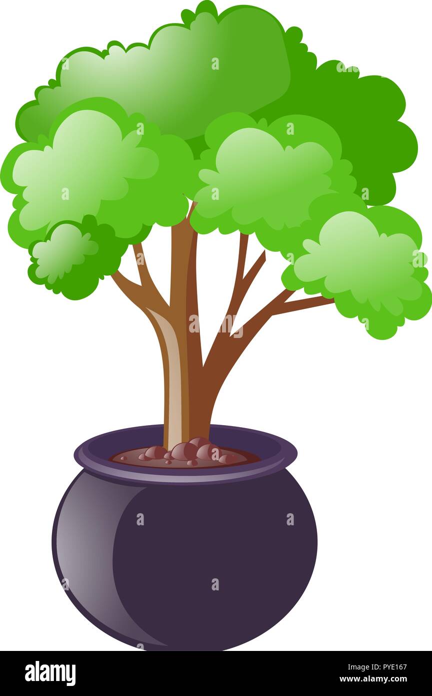 Isolated image tree growing Stock Vector Images - Alamy