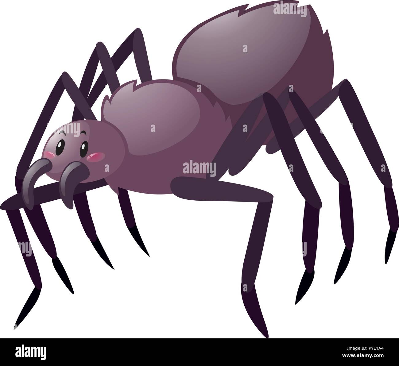 Wild spider on white background illustration Stock Vector Image & Art ...