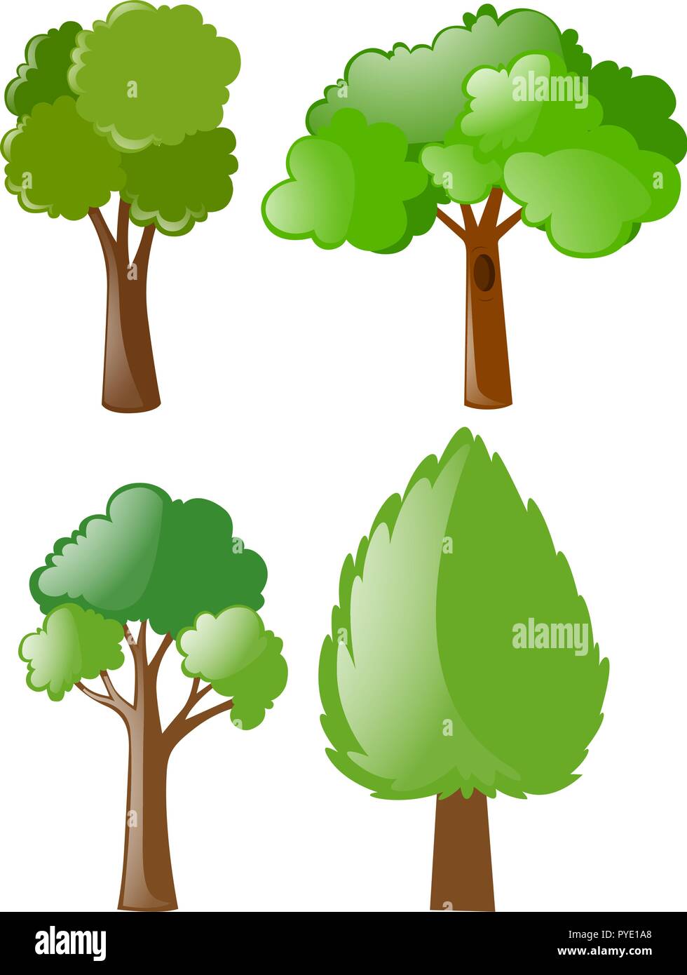 Different shapes of trees illustration Stock Vector Image & Art - Alamy