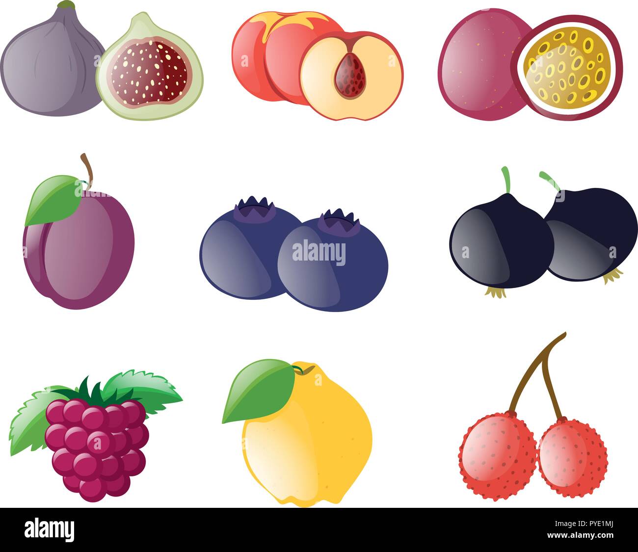 Different types of tropical fruits illustration Stock Vector Image ...