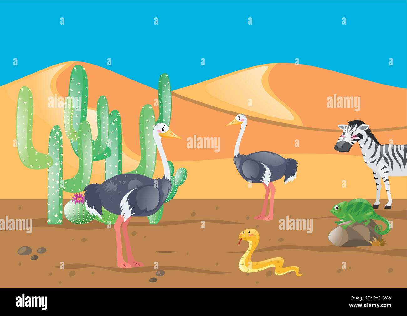 Ostrich in desert Stock Vector Images - Alamy