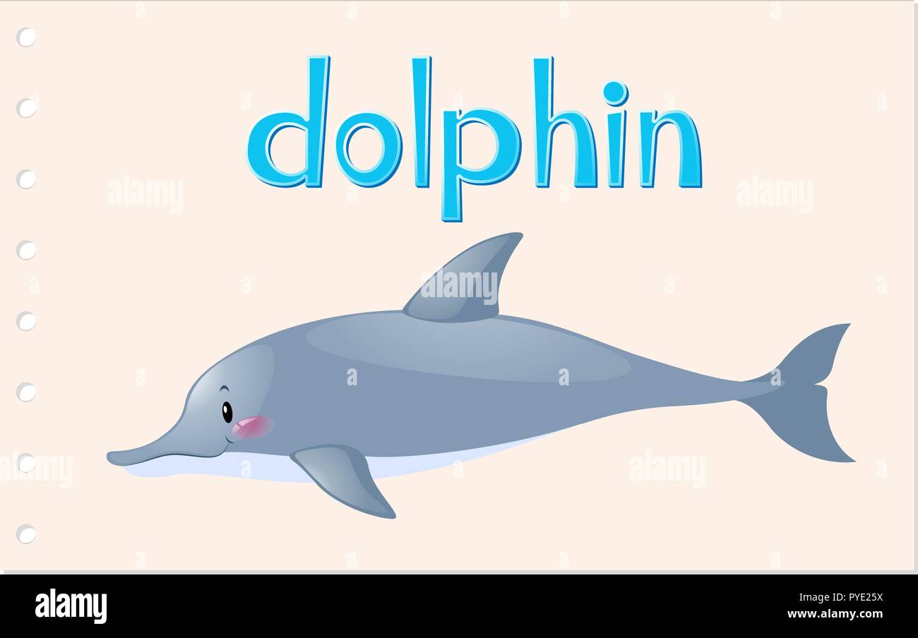 Animal wordcard for wild dolphin illustration Stock Vector Image & Art ...