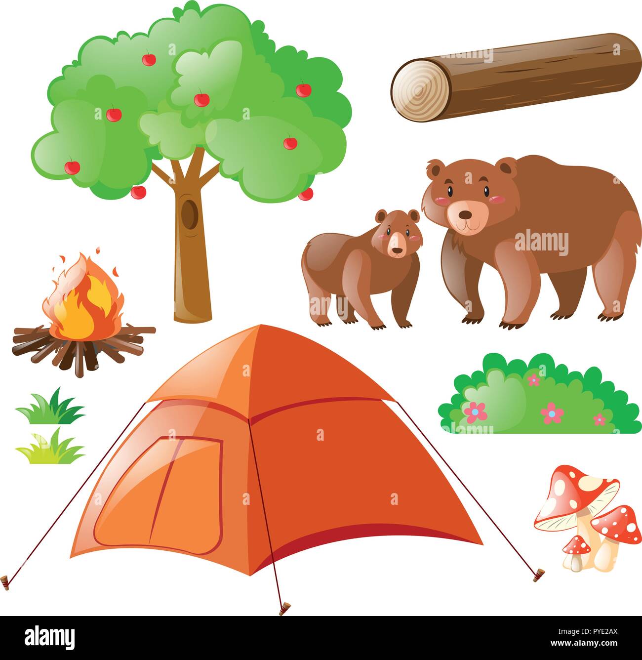 Bears and camping elements illustration Stock Vector Image & Art - Alamy