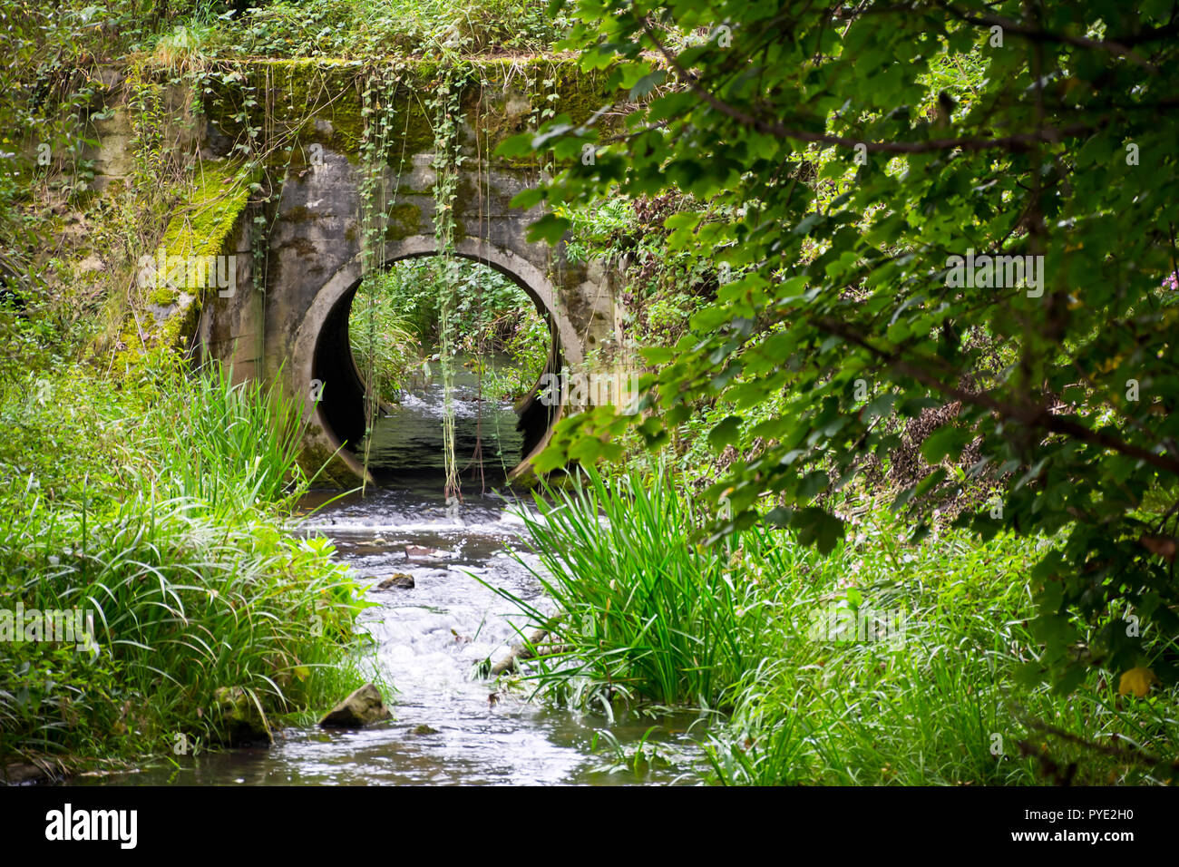 Stone culvert hi-res stock photography and images - Alamy