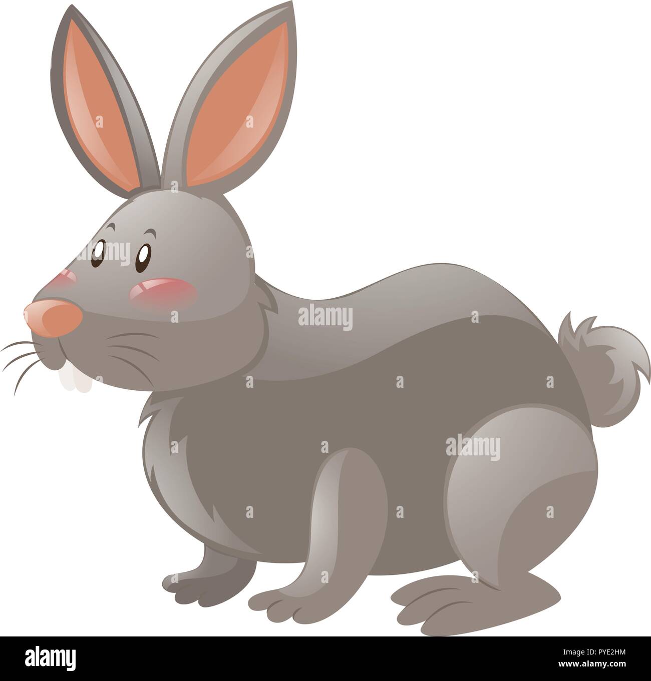 Rabbit with gray fur illustration Stock Vector Image & Art - Alamy