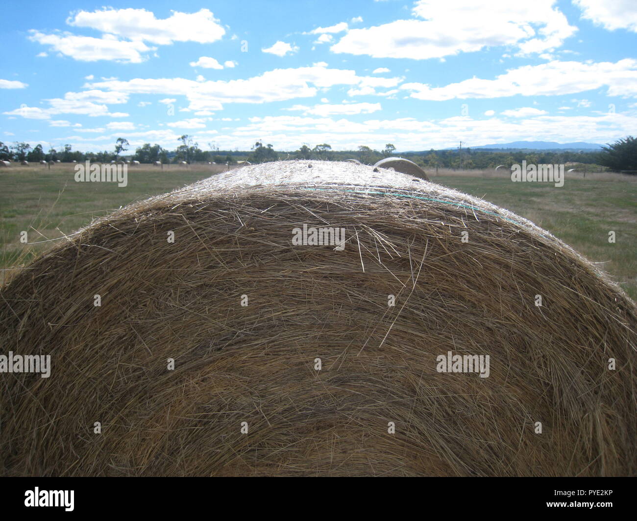 Gippsland landscape hi-res stock photography and images - Alamy