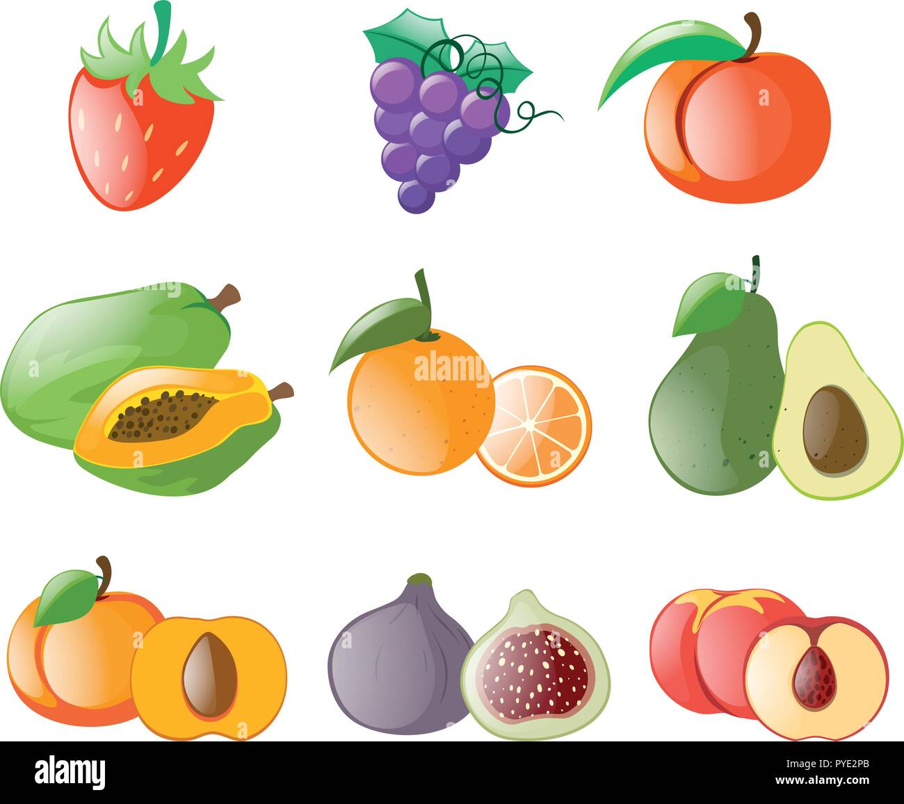 Different types of grapes Stock Vector Images - Alamy