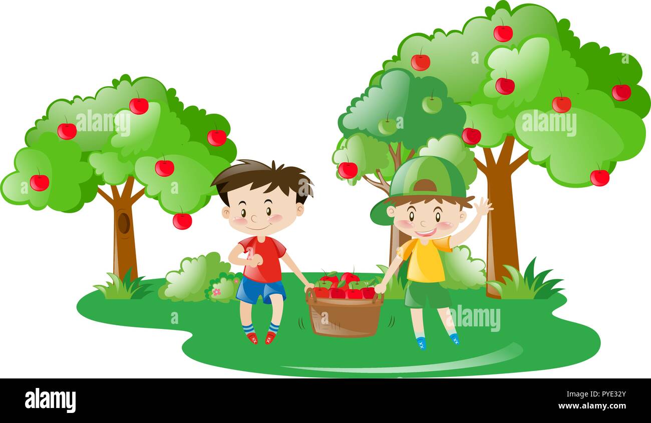 Two boys working in apple farm illustration Stock Vector Image & Art ...