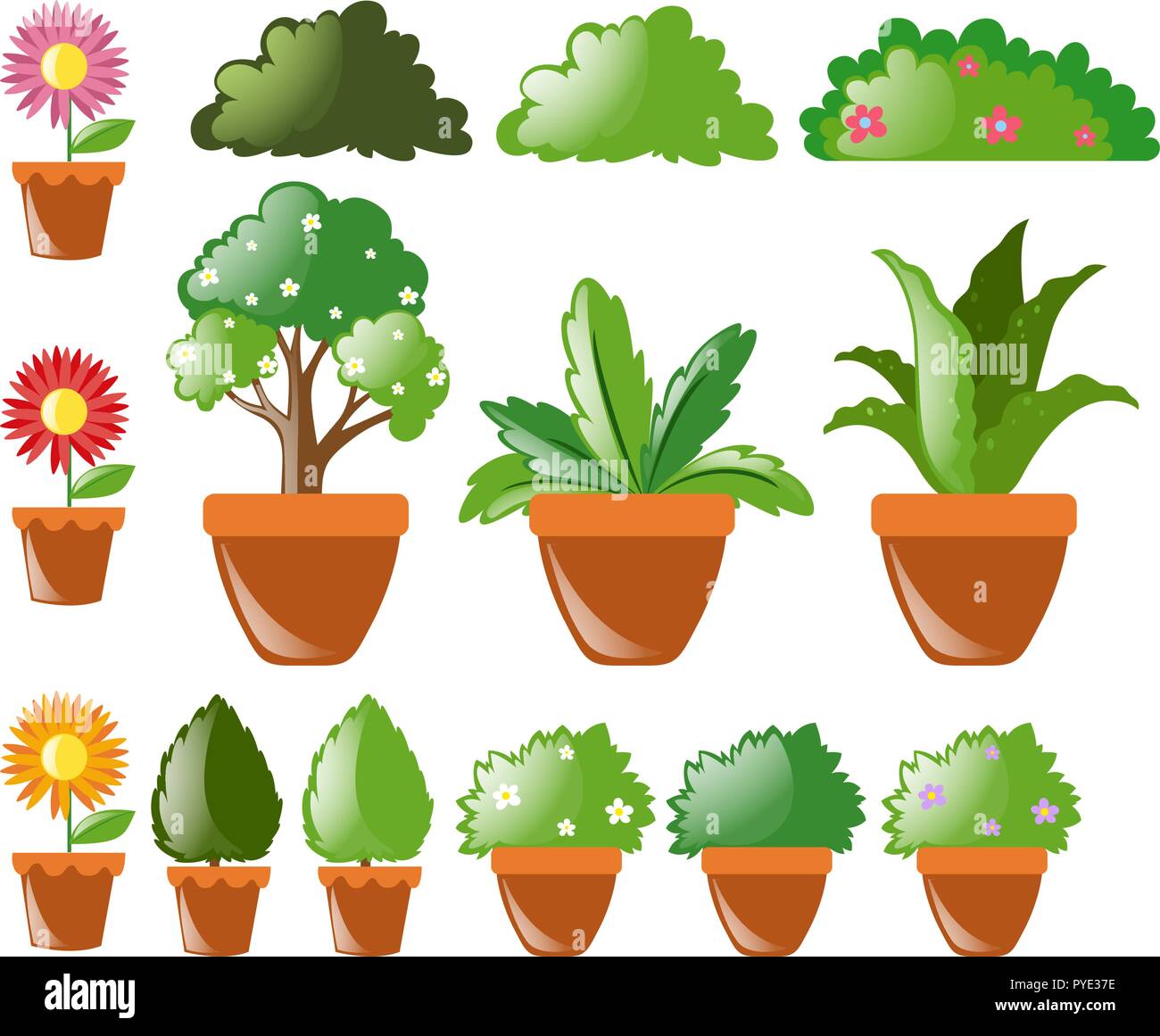 Different kinds of plants hi-res stock photography and images - Alamy