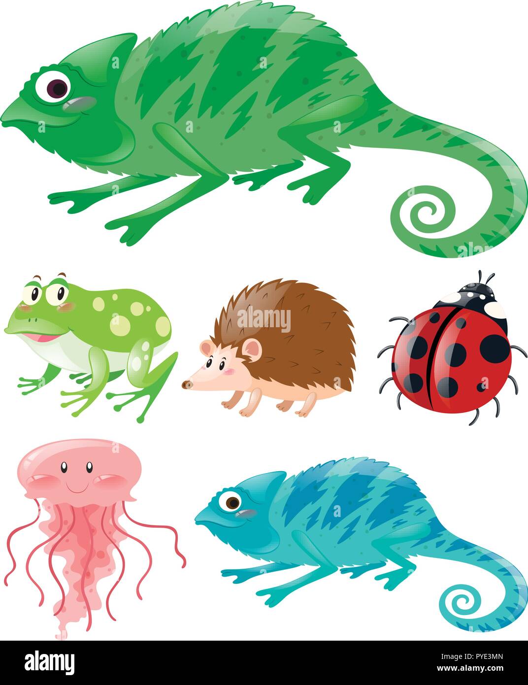 Frog lizard Stock Vector Images - Alamy