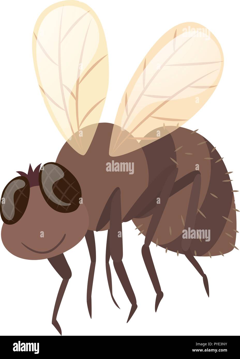 House fly on white background illustration Stock Vector Image & Art - Alamy