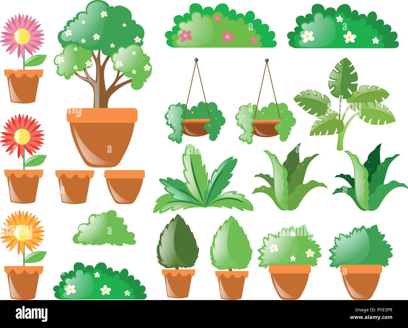 Different types of plants illustration Stock Vector Image & Art - Alamy