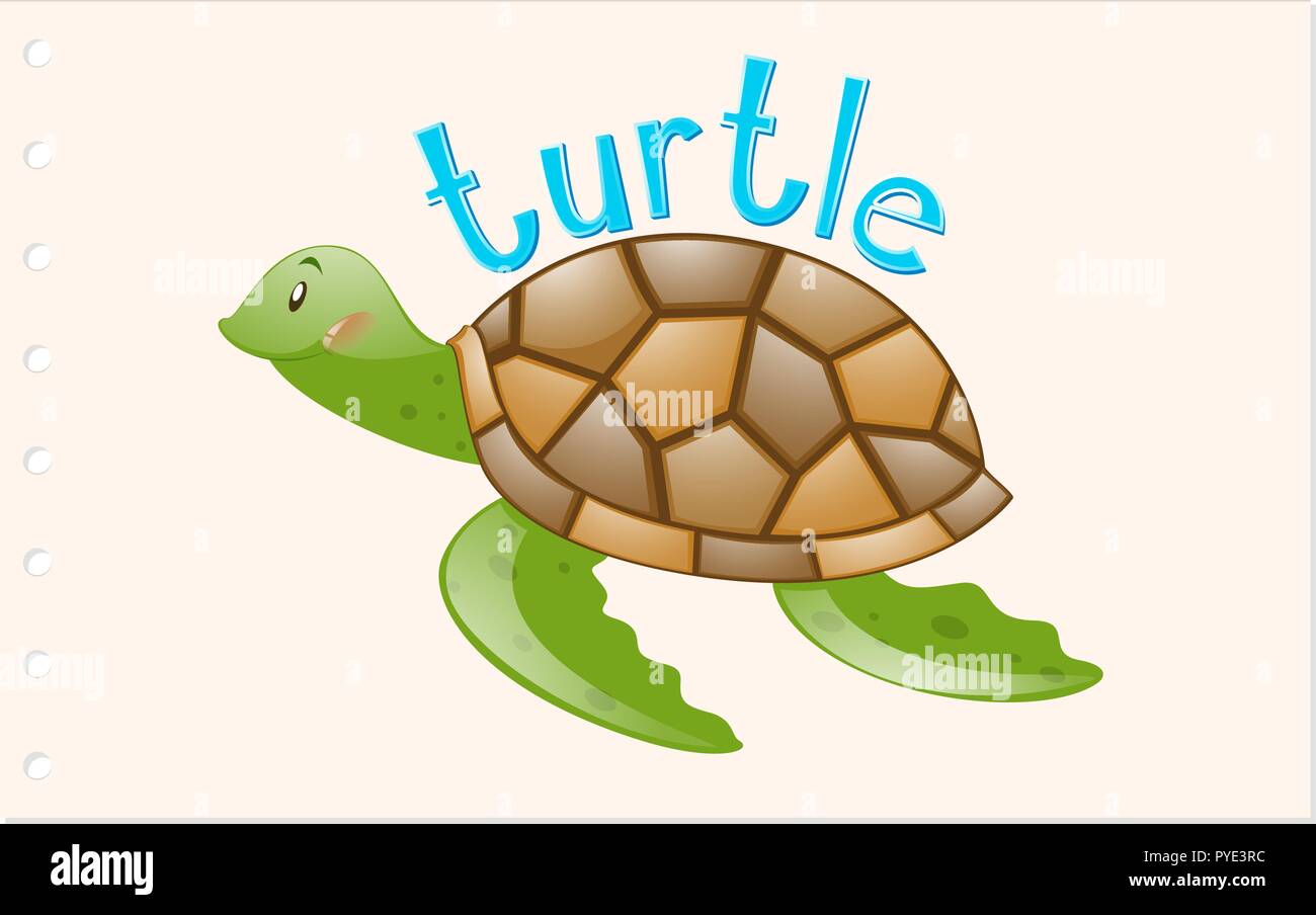 Animal word card with turtle illustration Stock Vector Image & Art - Alamy