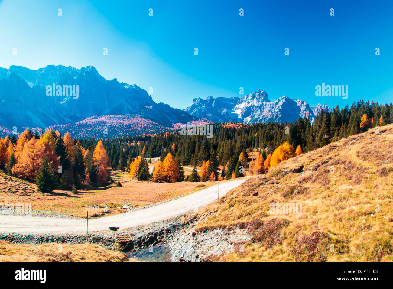 Autumn in the italian alps Stock Photo - Alamy