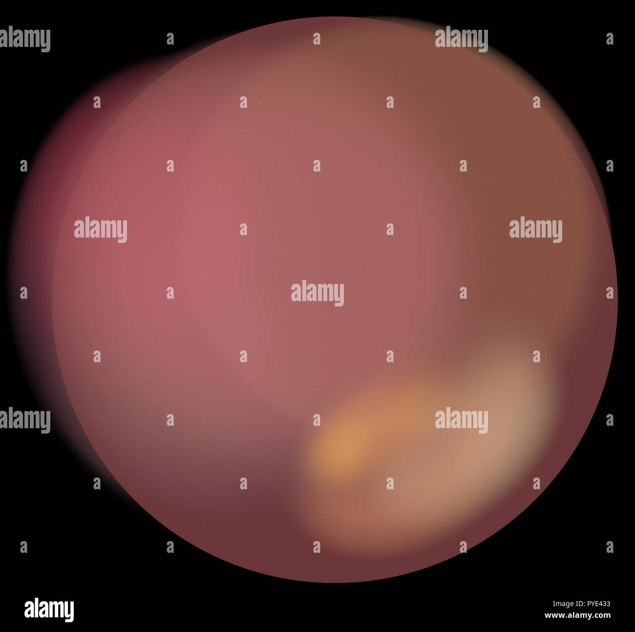 Brown fractal circle sphere. Fantasy fractal texture. Digital art. 3D ...