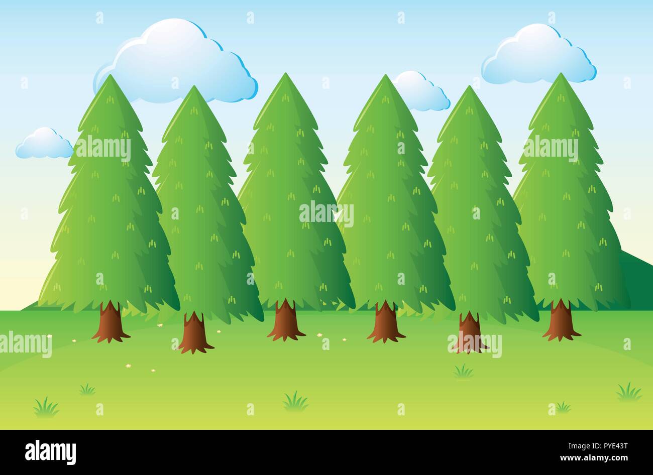 Park scene with pine trees and field illustration Stock Vector Image ...