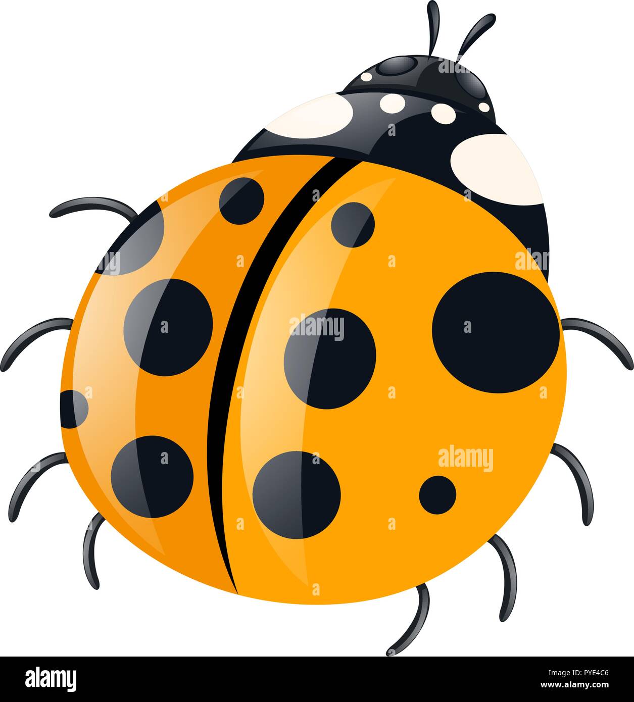 Ladybug with yellow wings illustration Stock Vector Image & Art - Alamy