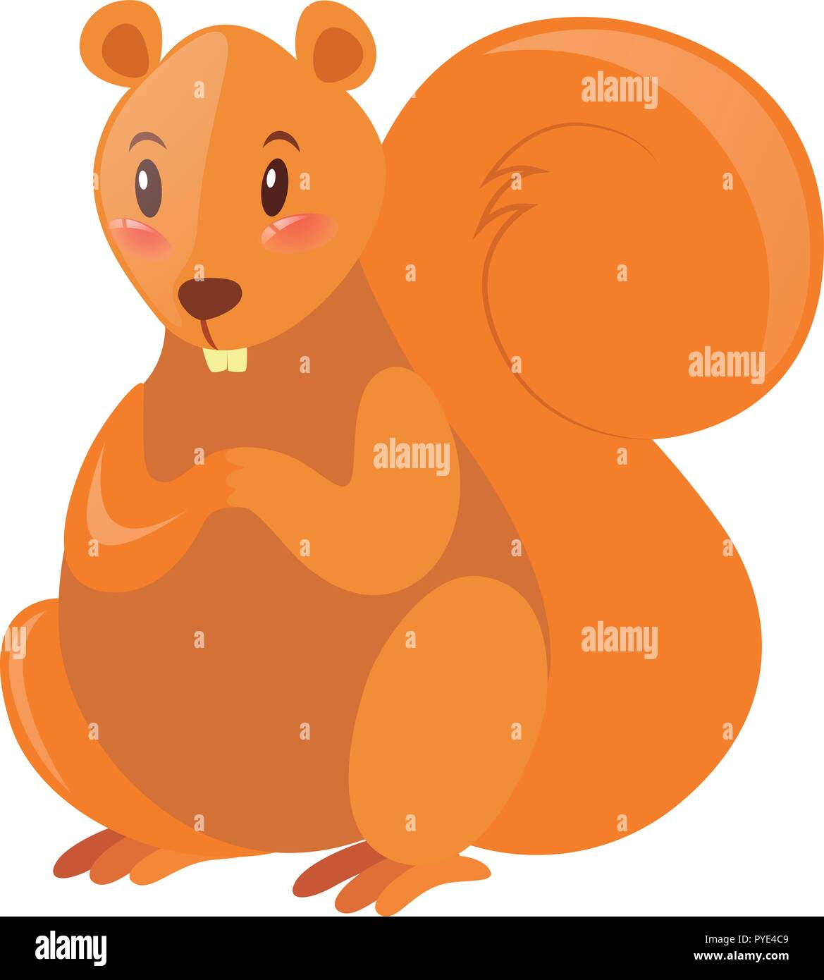 Cute squirrel with brown fur illustration Stock Vector Image & Art - Alamy