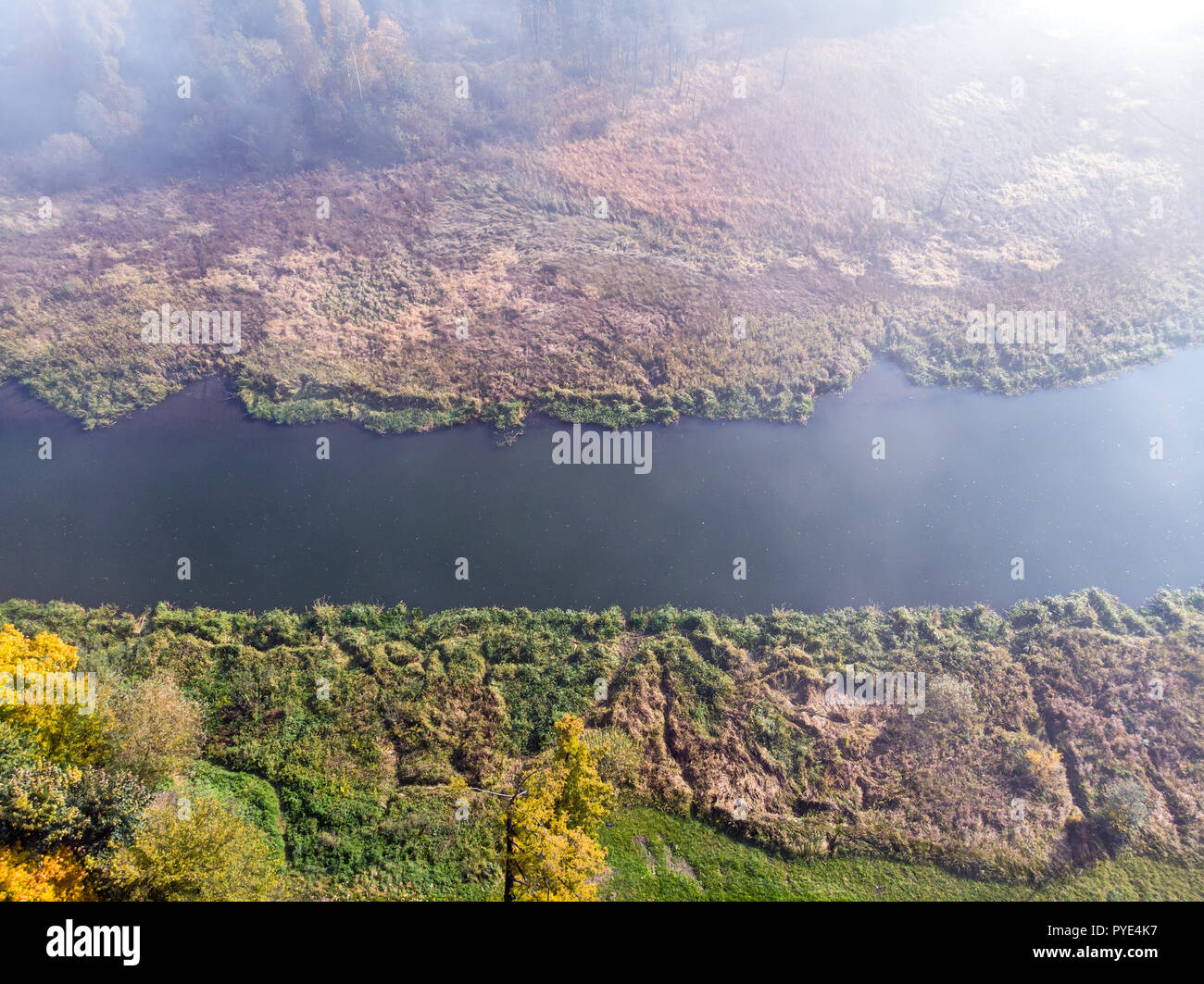 Forest bank hi-res stock photography and images - Alamy