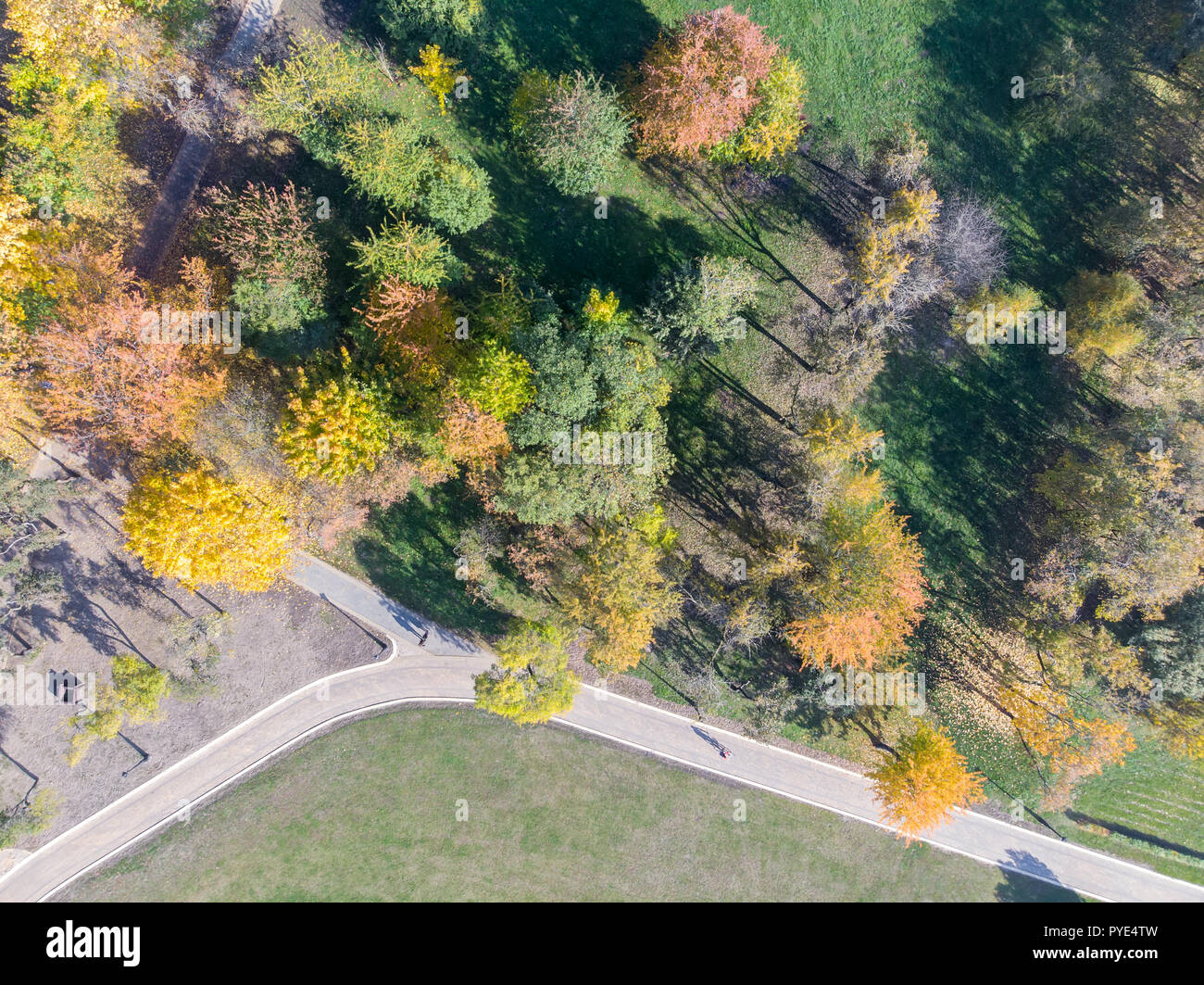 aerial top view of park trees with bright foliage. park during sunny ...