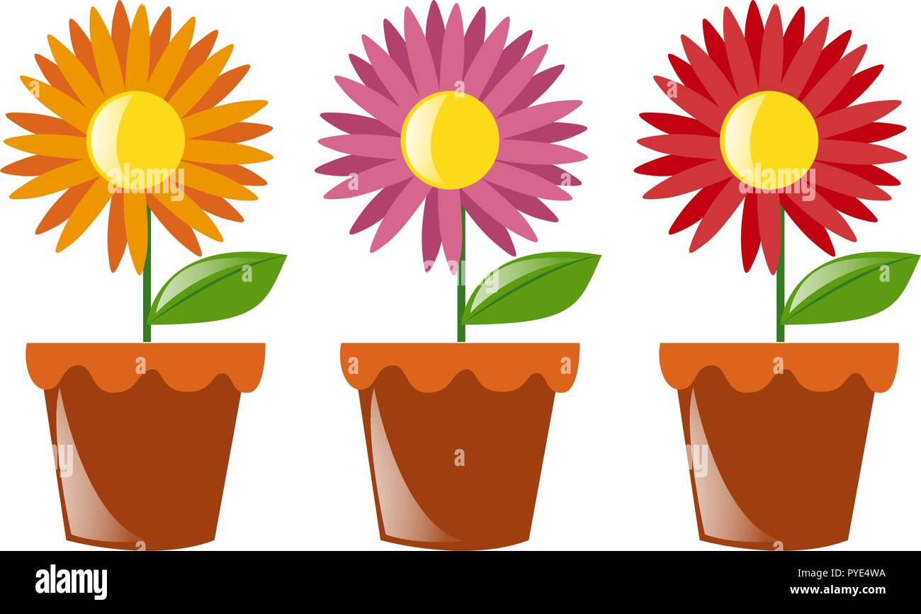 Flower Planter Clipart
