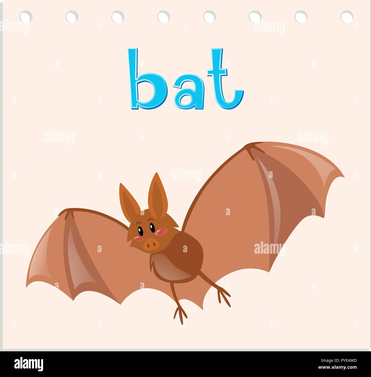 Wordcard for wild bat illustration Stock Vector Image & Art - Alamy