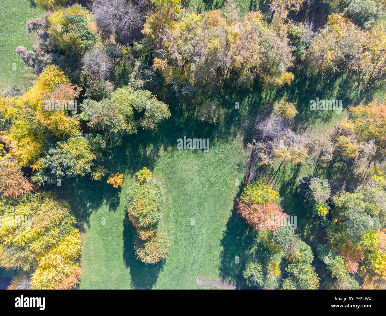 Aerial view of of green and orange trees during autumn hi-res stock ...