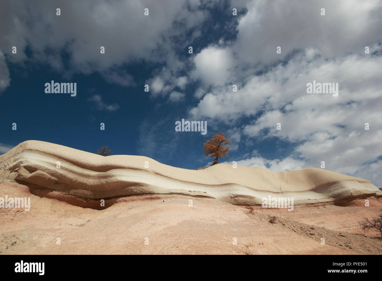 wind erosion rocks Stock Photo - Alamy
