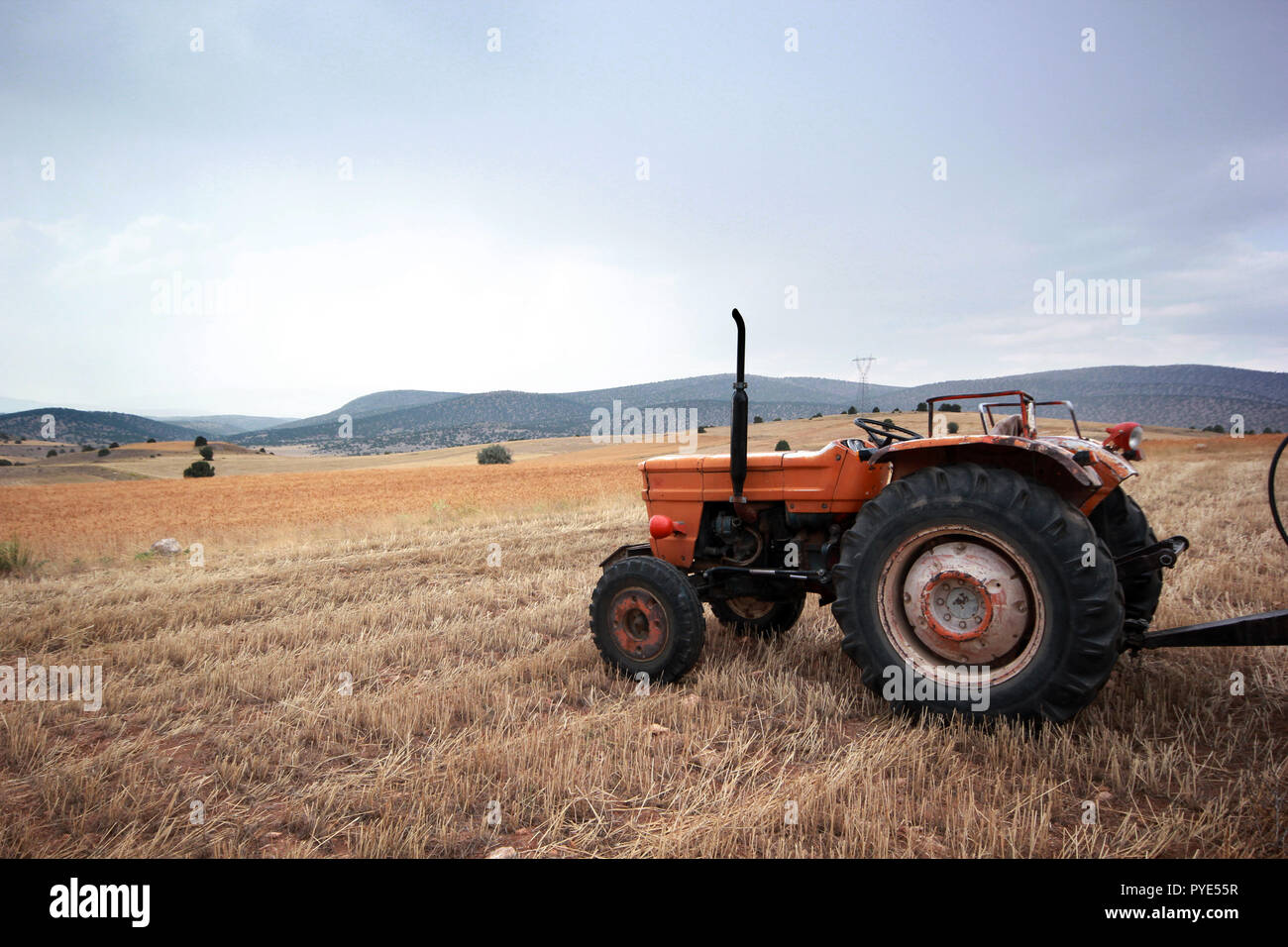 Delivering wheat hi-res stock photography and images - Alamy