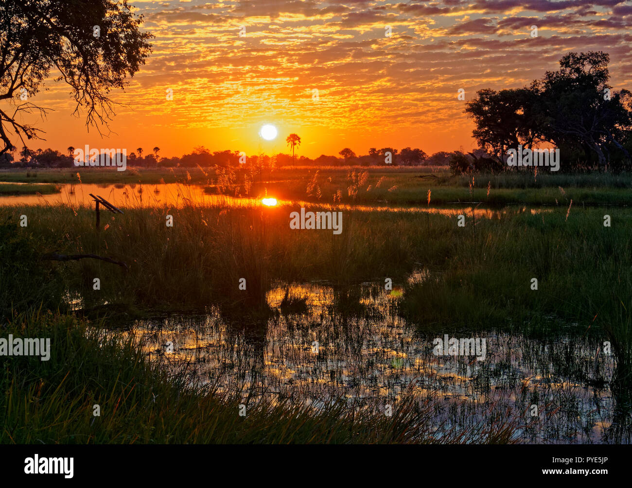 African sunset colours hi-res stock photography and images - Alamy