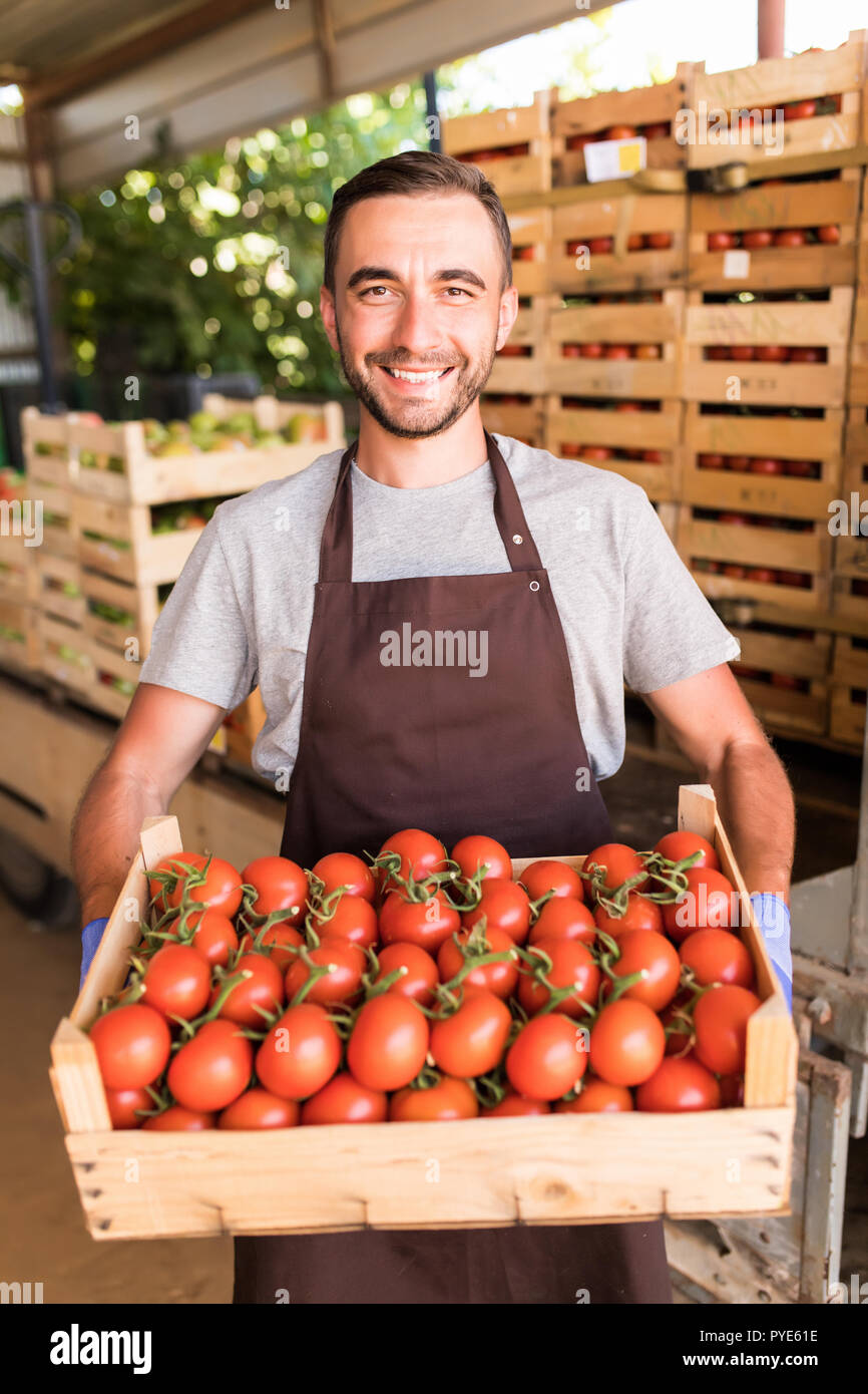 Man hold tomato plant hi-res stock photography and images - Alamy