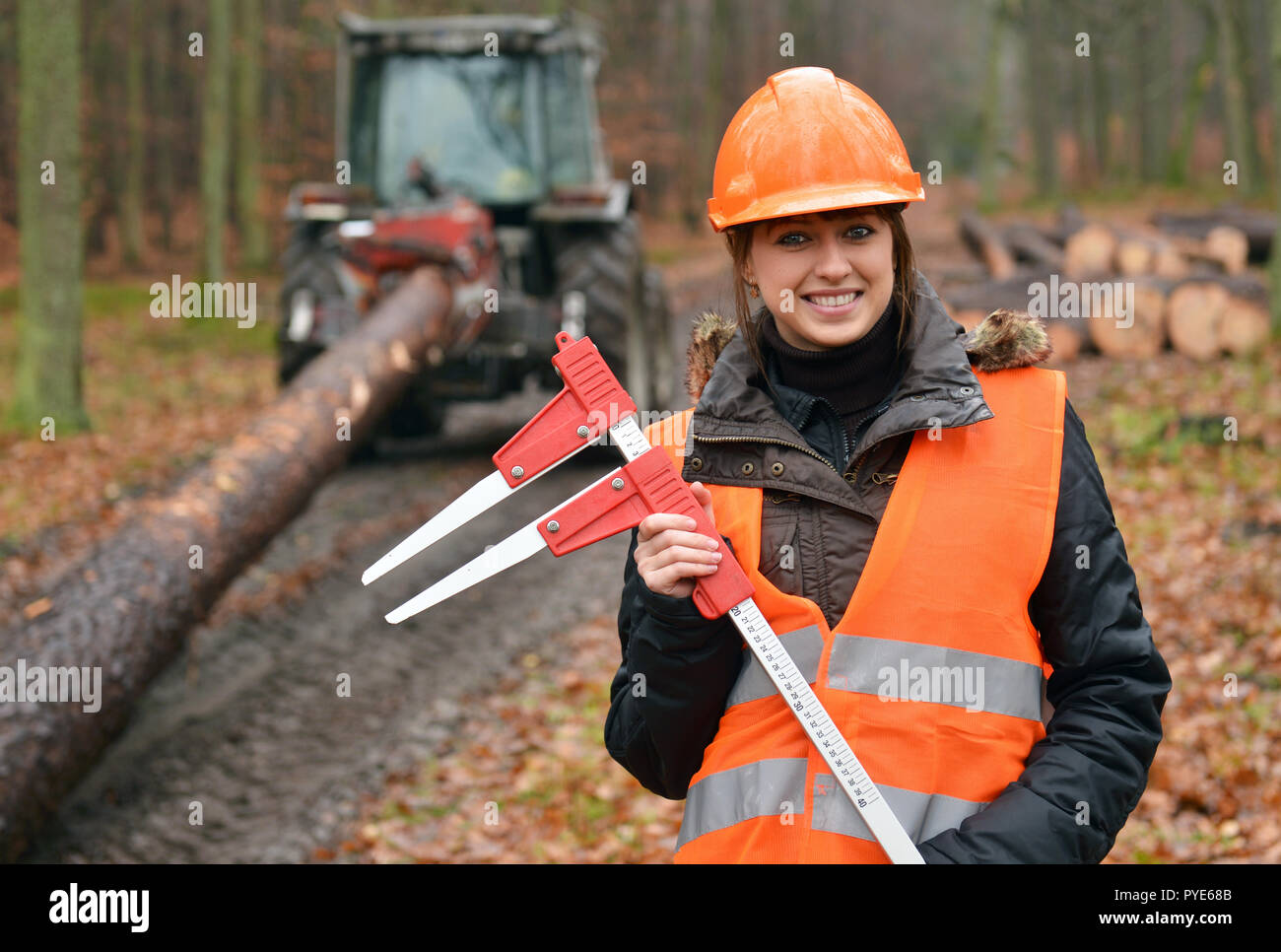 Young and beautiful forestry engineer at work Stock Photo - Alamy