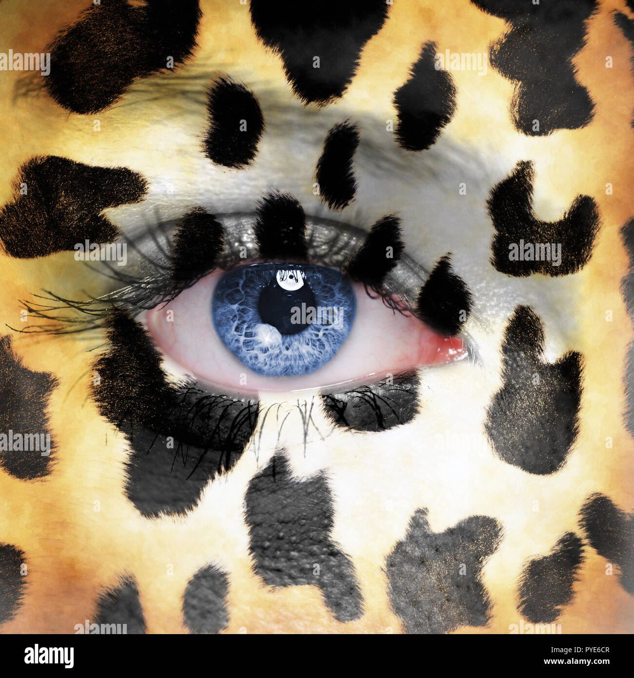 Cow pattern on human face Stock Photo - Alamy